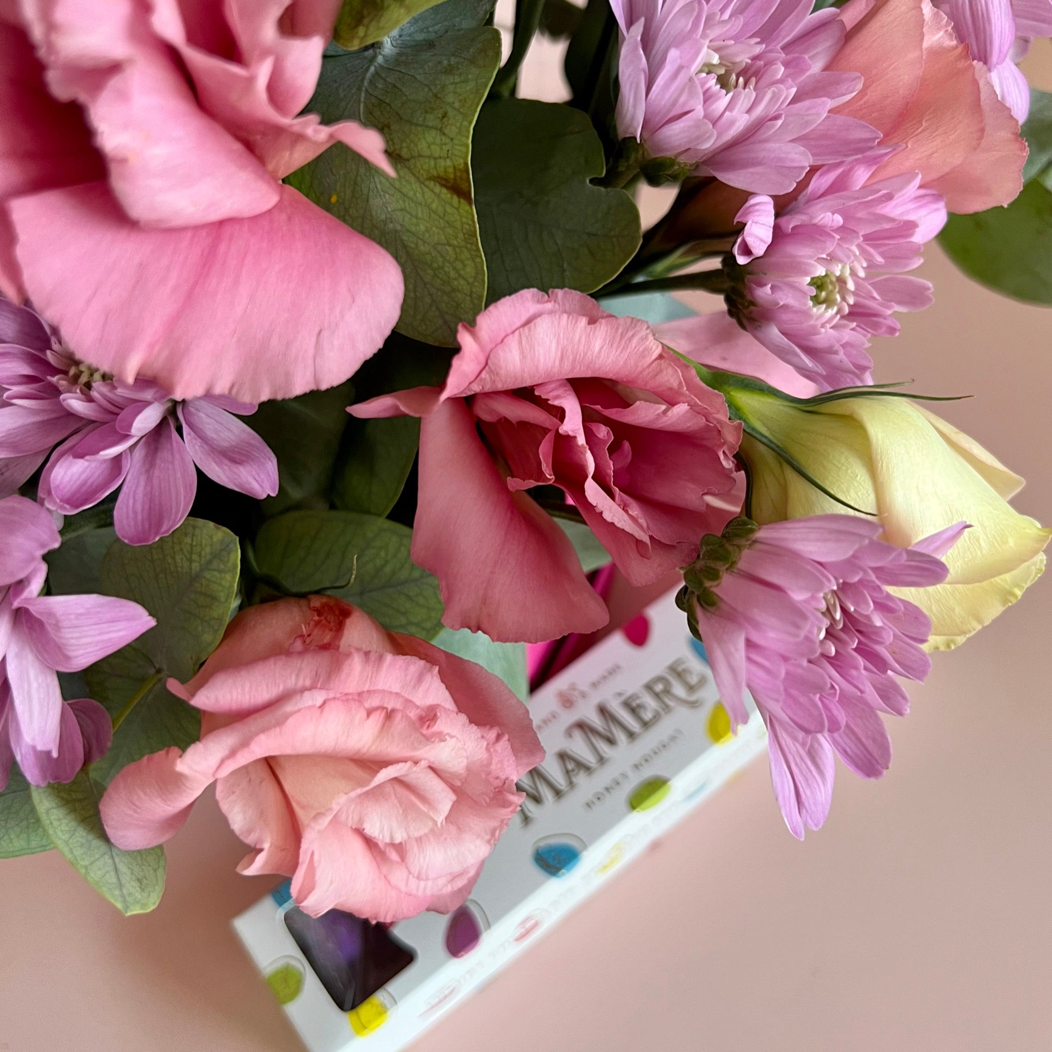 The Bloom Studio – THE BLOOM STUDIO